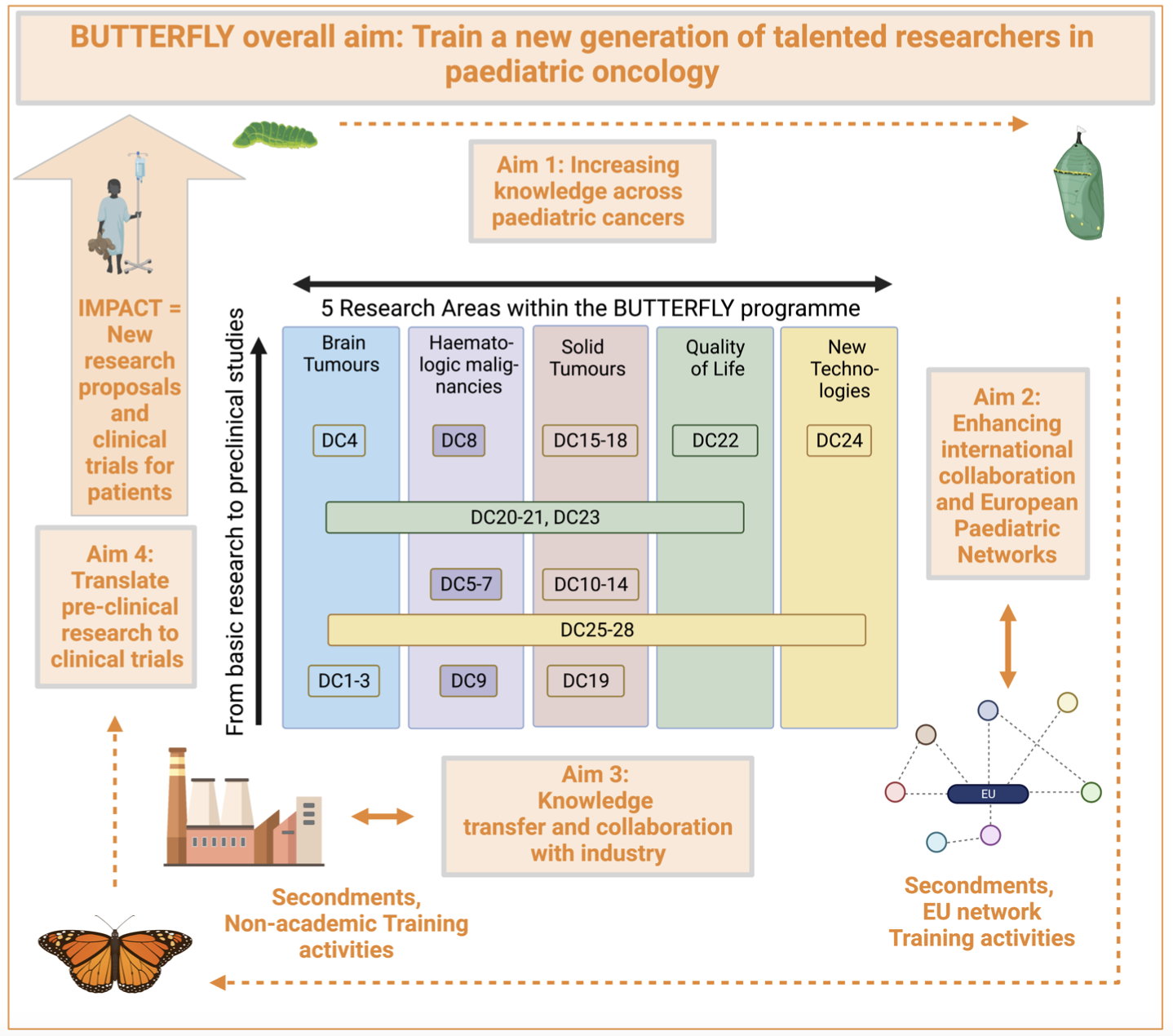 Butterfly program - Maxima Butterfly