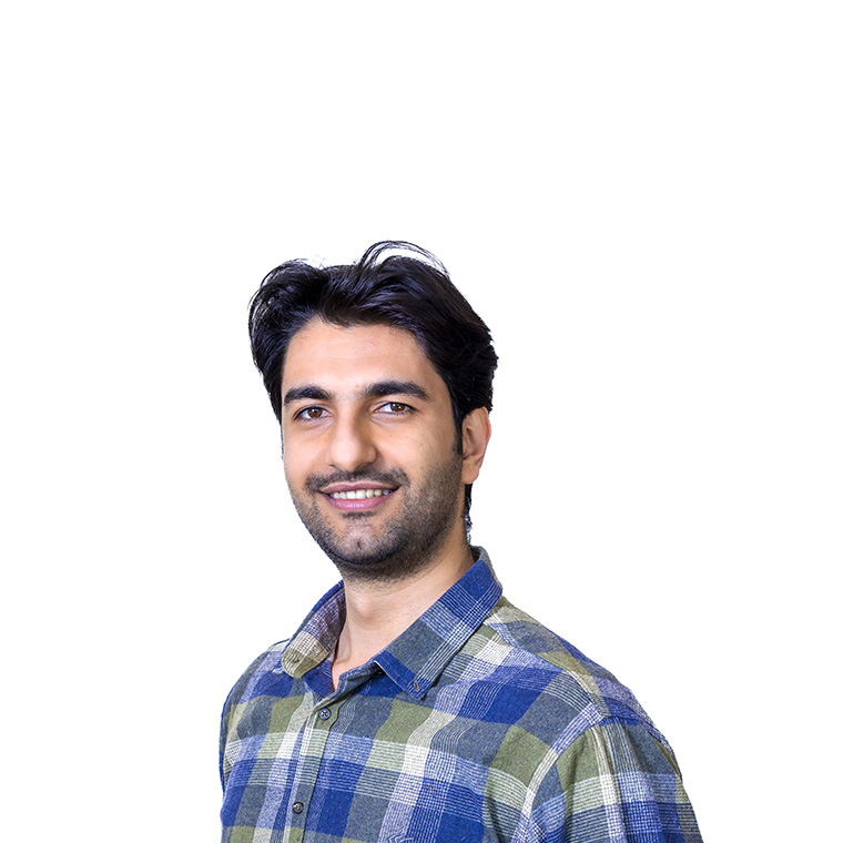 Meet the butterflies - Maxima Butterfly