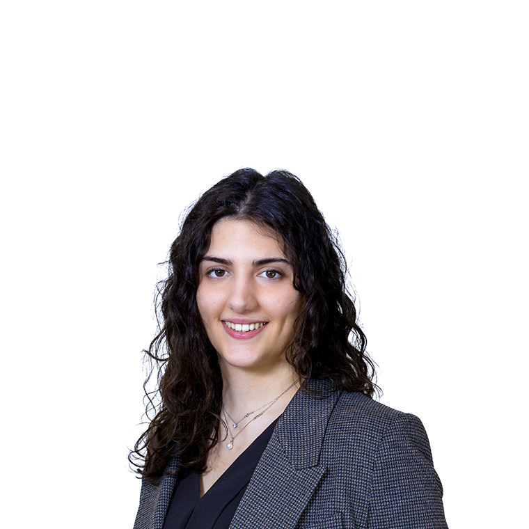 Meet the butterflies - Maxima Butterfly