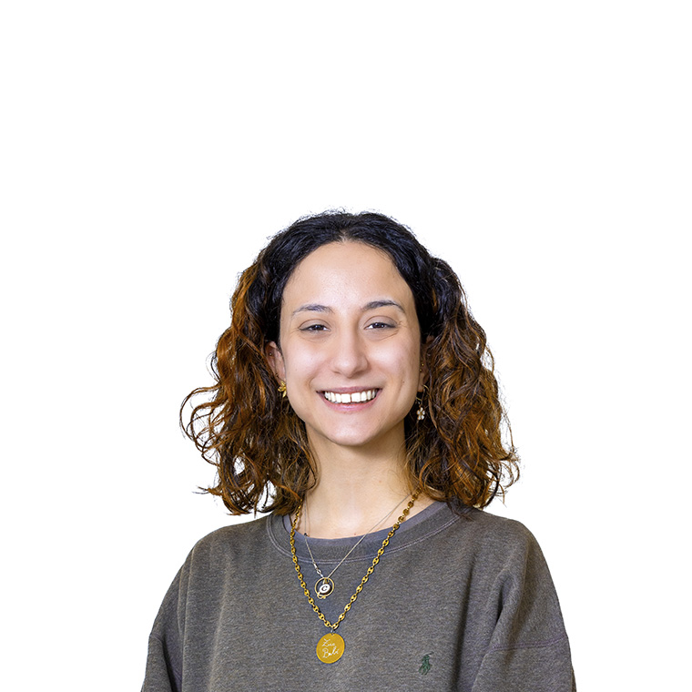 Meet the butterflies - Maxima Butterfly