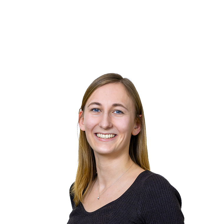 Meet the butterflies - Maxima Butterfly